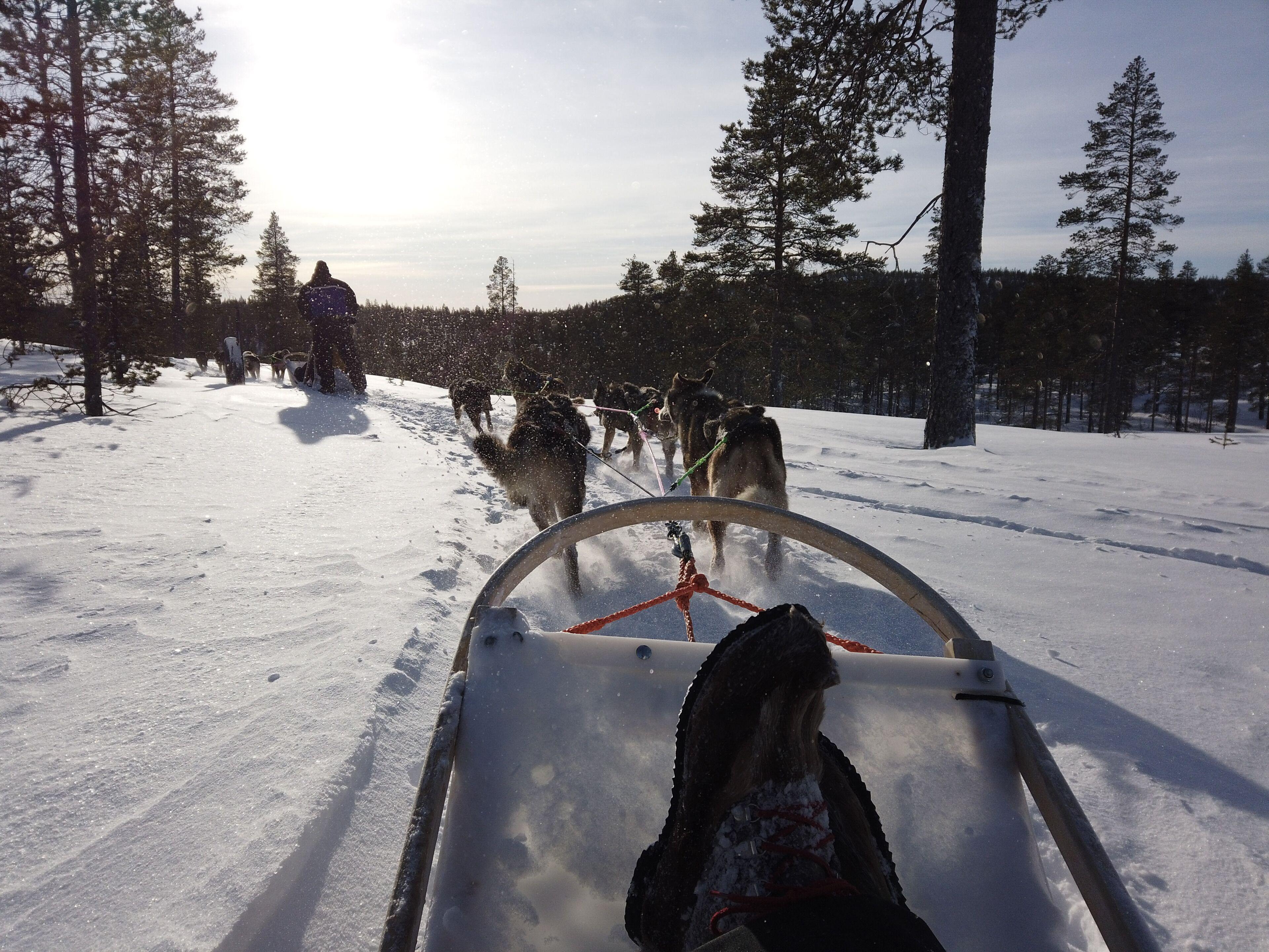 Resort Aurora Village Ivalo, Finland - book now, 2026 prices